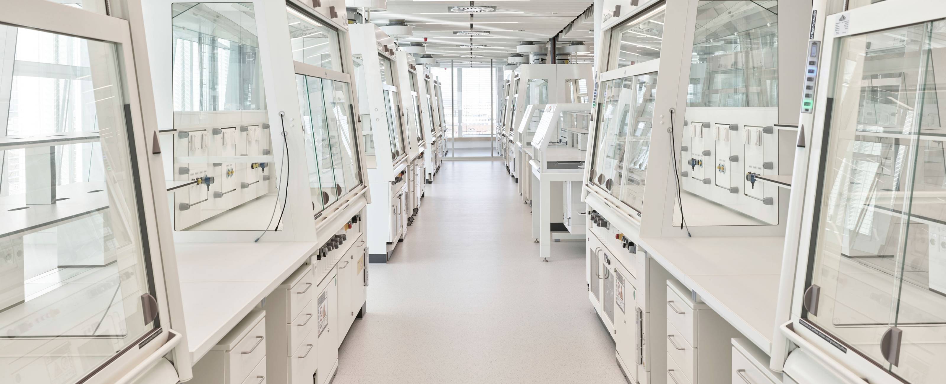 Roche Pharma R&D (pRED) project - Artigo