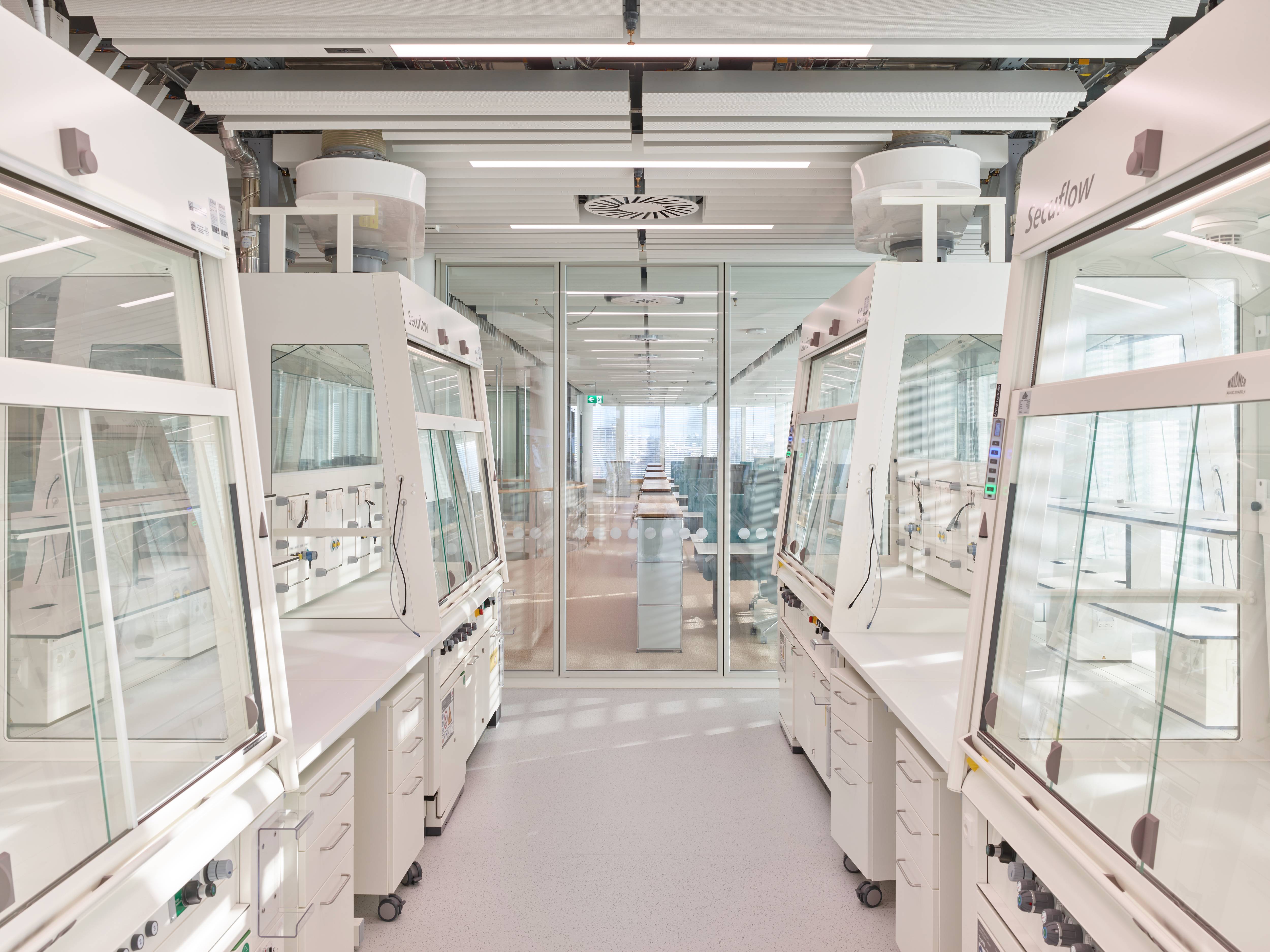 Roche Pharma R&D (pRED) project - Artigo